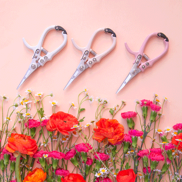 Welcome Spring – Pigment