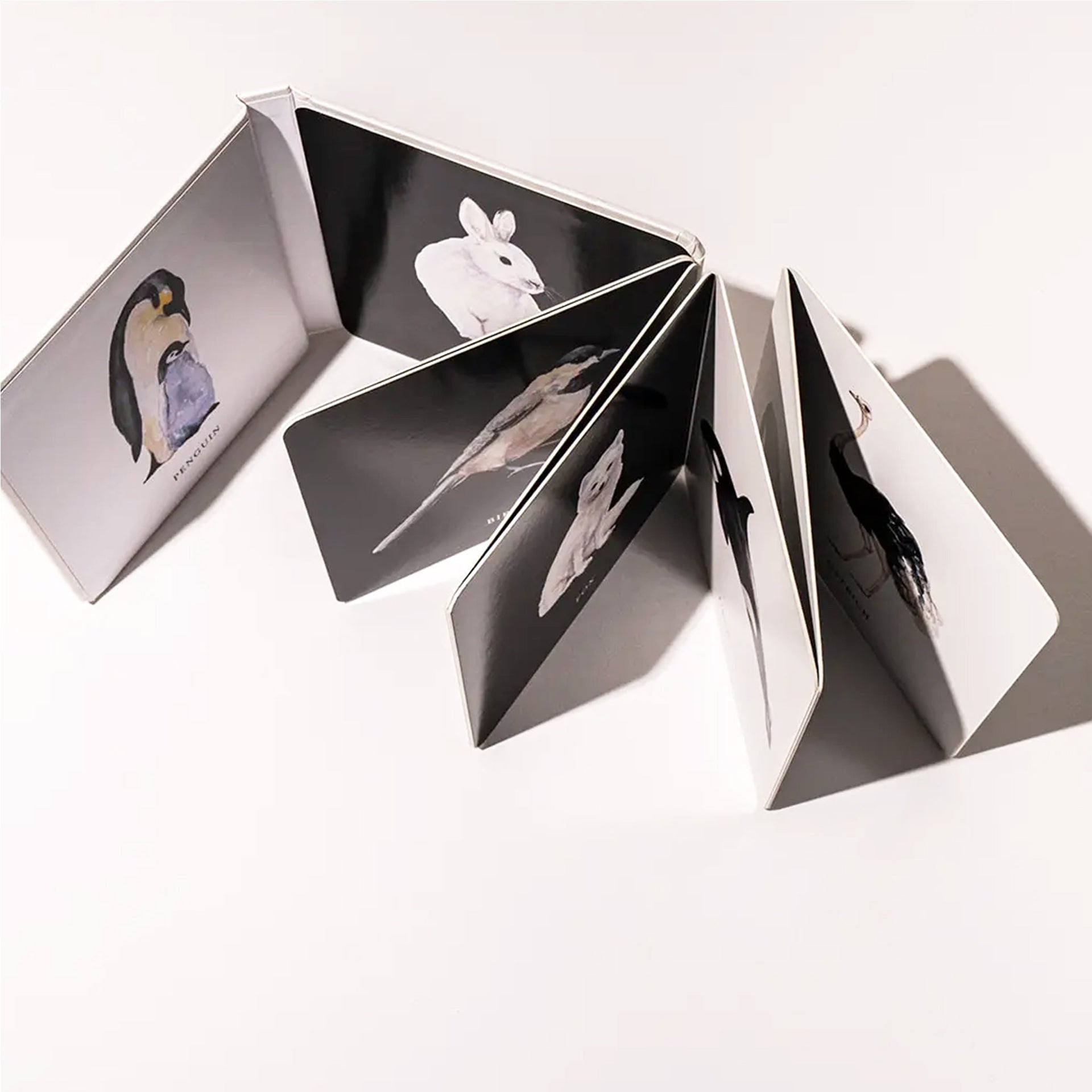 Baby's Black and White Contrast Book – Pigment