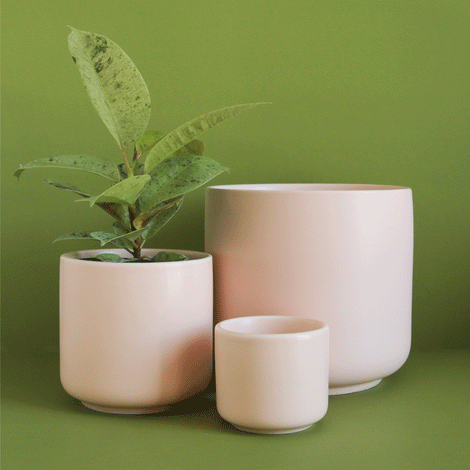Pigment | Stylish Flower Pots, Indoor & Outdoor Planters