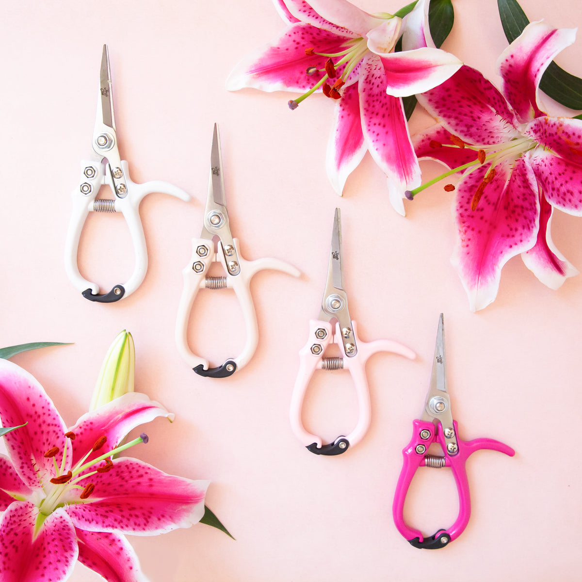 Pruning Shears | Vanilla – Pigment