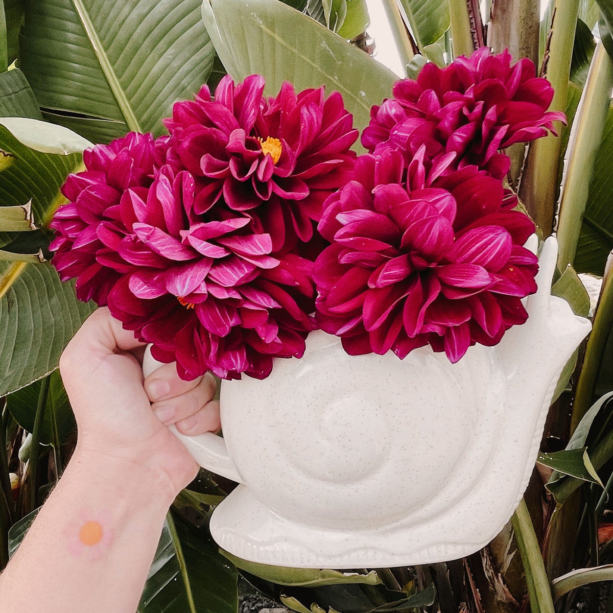 Watering Can - Snail – Pigment